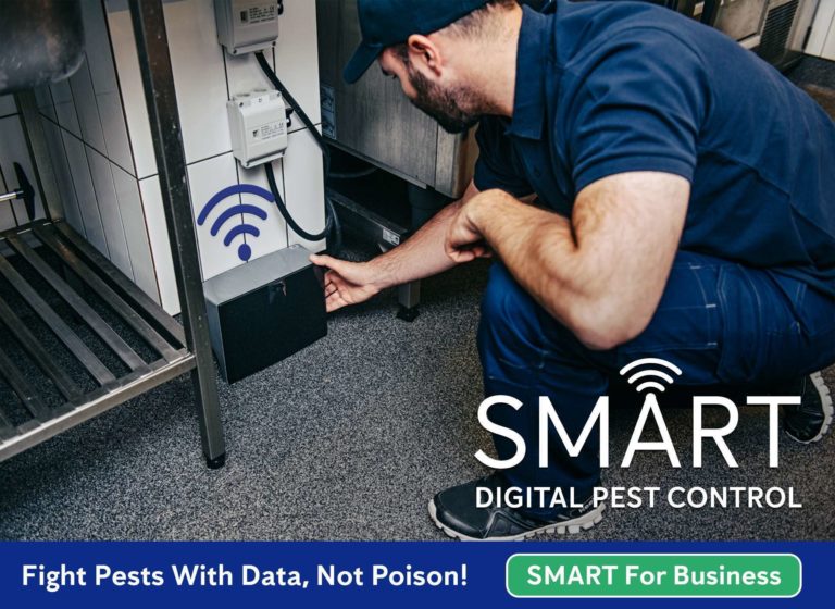 Auckland Pest Control | Pest, Rodent, Rat & Cockroach Control