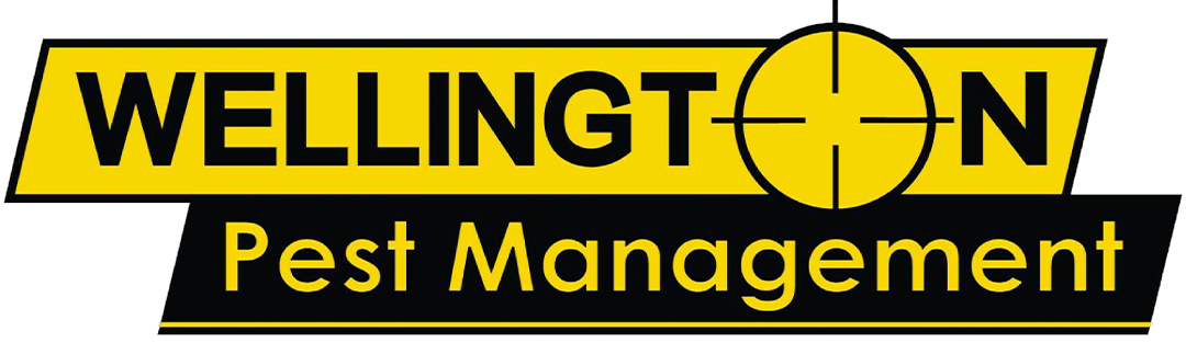 Expert Rodent Control in Wellington - Rat & Mice Removal- Flick - New ...